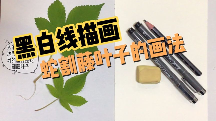 黑白线描画蛇割藤叶子的画法,线条的练习,零基础绘画