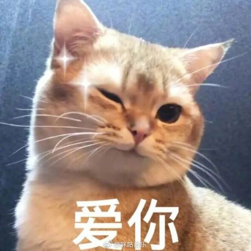 核心思想高冷 