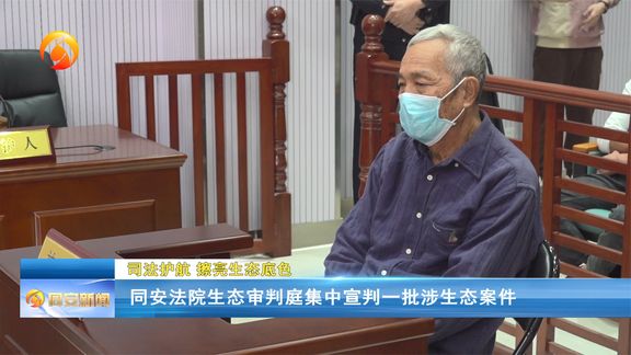 同安法院生态审判庭集中宣判一批涉生态案件