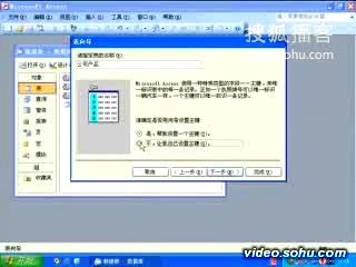 Access视频教程3