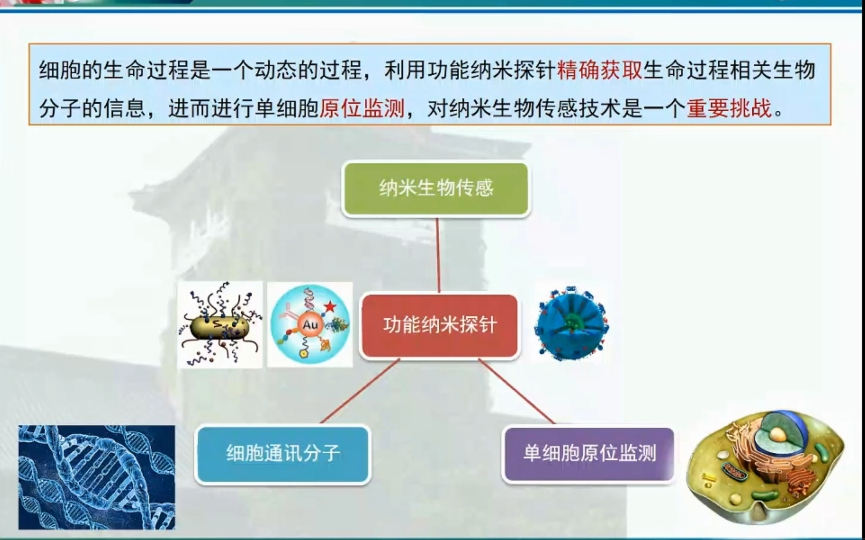 ...大学朱俊杰-基于等离子体和电化学发光显微成像技术的纳米生物传感