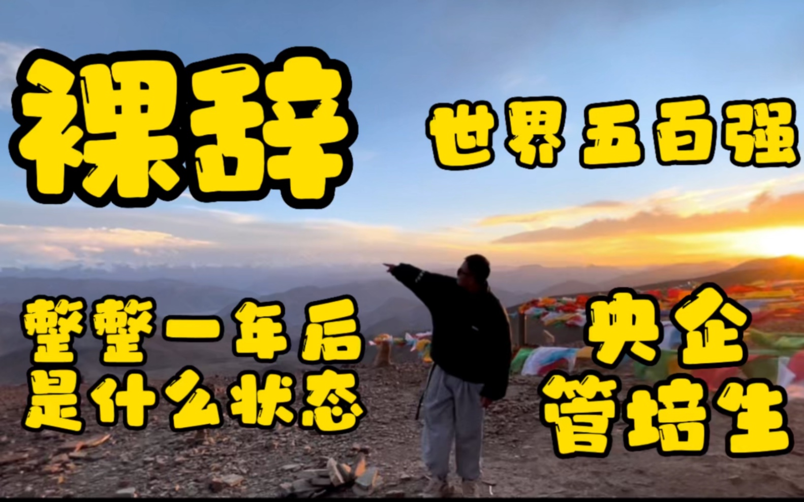 裸辞|央企管培生裸辞整整一年后是什么状态?