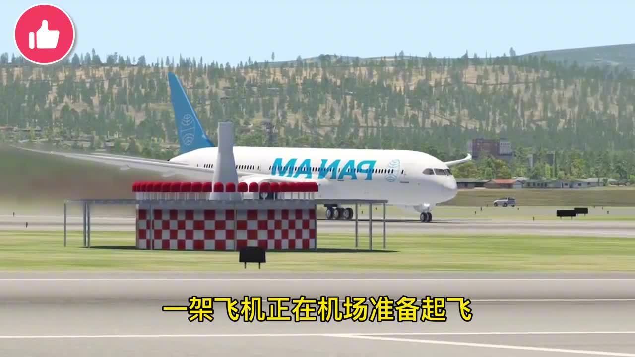 模拟器飞机遇上极端气流,在空中差点失去控制,只能被迫降落