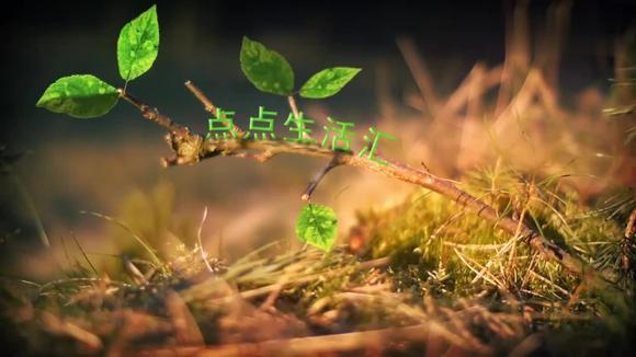 自制磨砂膏有窍门,教你用它们简单制作,方便实用,试过都说好