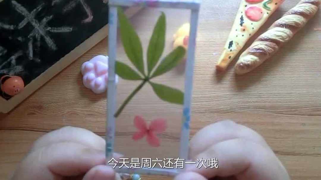 2分钟教你用透明包装盒做出漂亮的标本书签做法其实简单手工视频