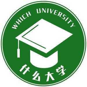 什么大学 