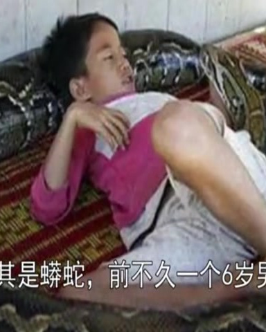 许仙转世?6岁小孩把巨蟒当老婆,天天同床共枕,真实发生的事件