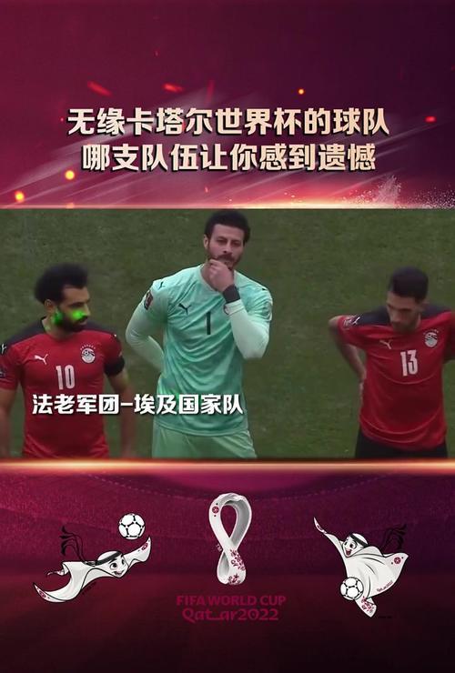 无缘卡塔尔世界杯的球队,哪支队伍让你感到遗憾? #...