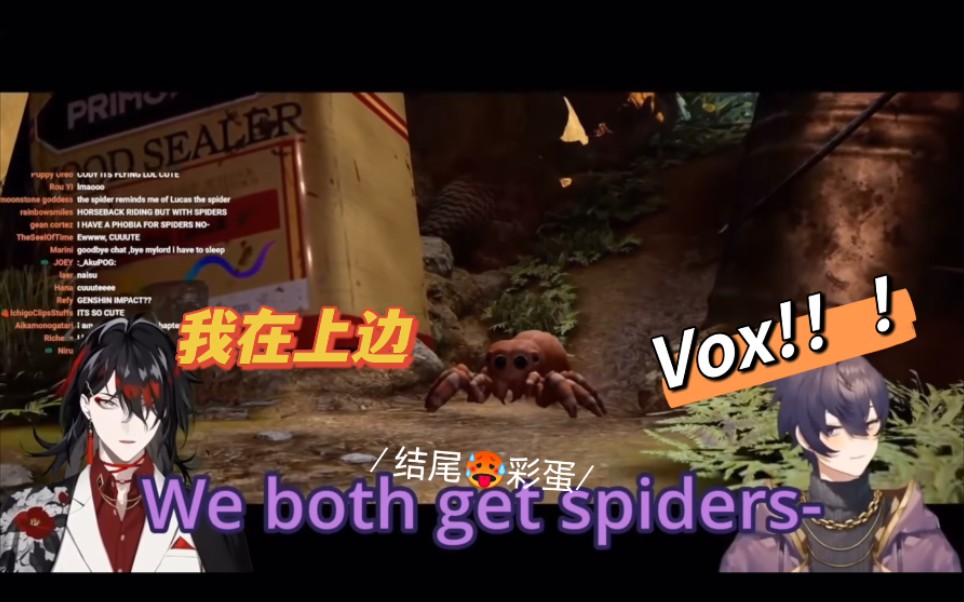【Vox】【shoto】幼稚鬼vox给自己的小蜘蛛起名shoto