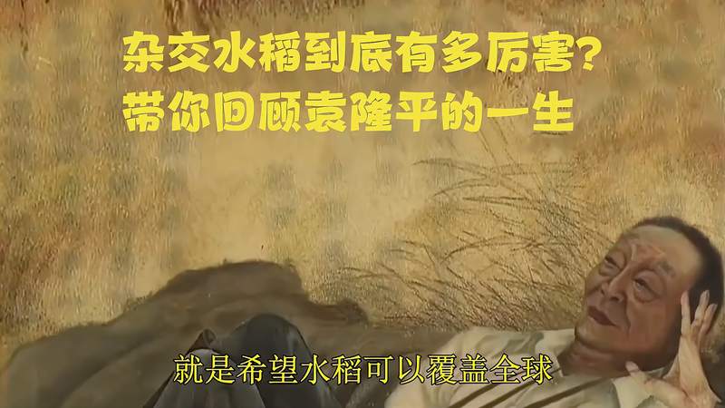 杂交水稻到底有多厉害?带你回顾袁隆平的一生