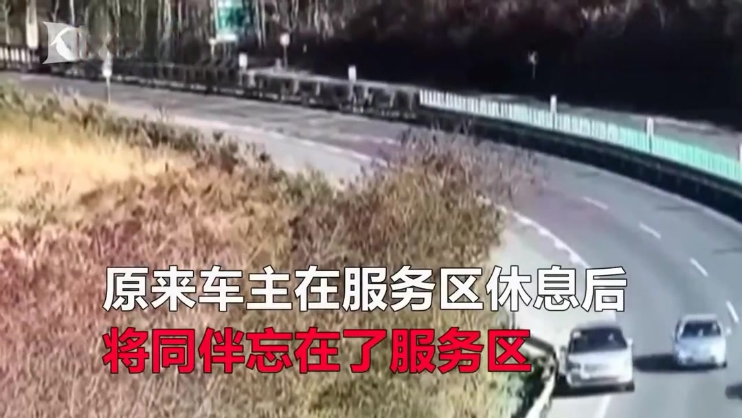 不要命了!小轿车竟在高速上倒车行驶,想问问司机咋想的?