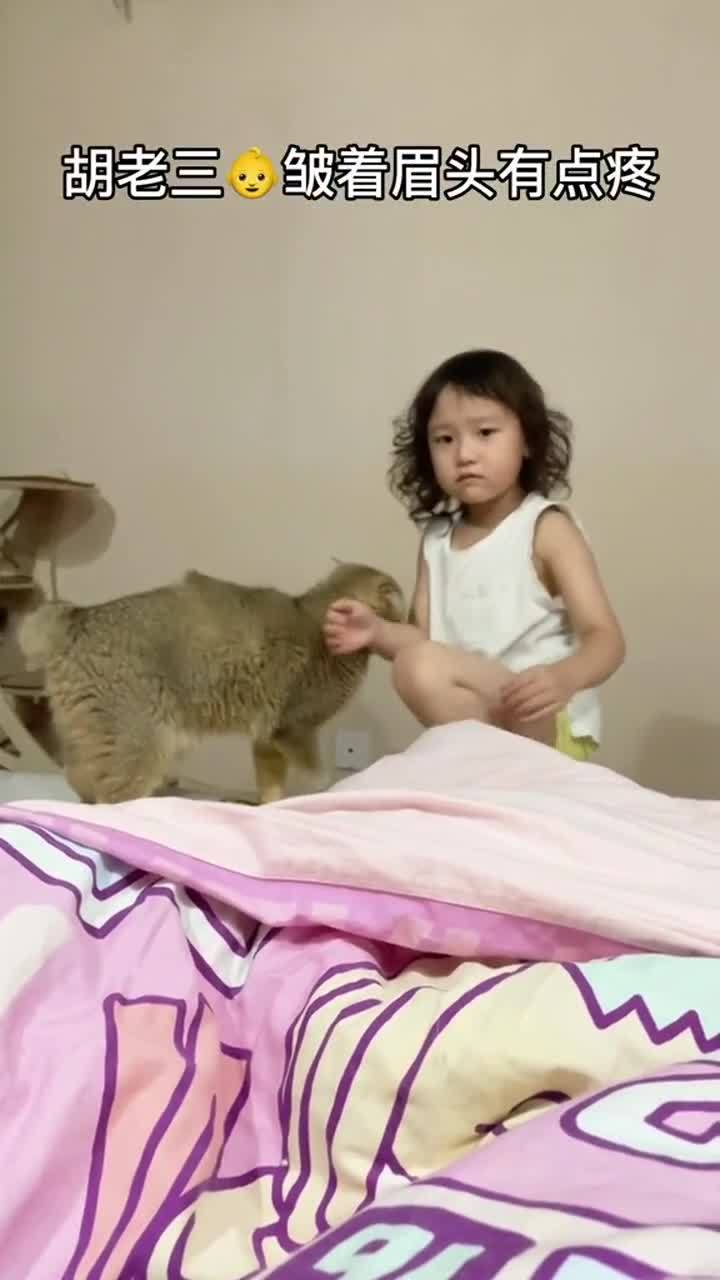 没有人能够拒绝一只会道歉的小猫咪吧