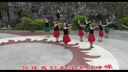 广场舞_党旗飘飘.mp4