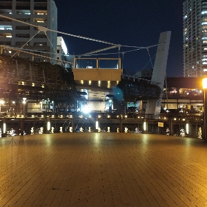 ズランサブアカ 