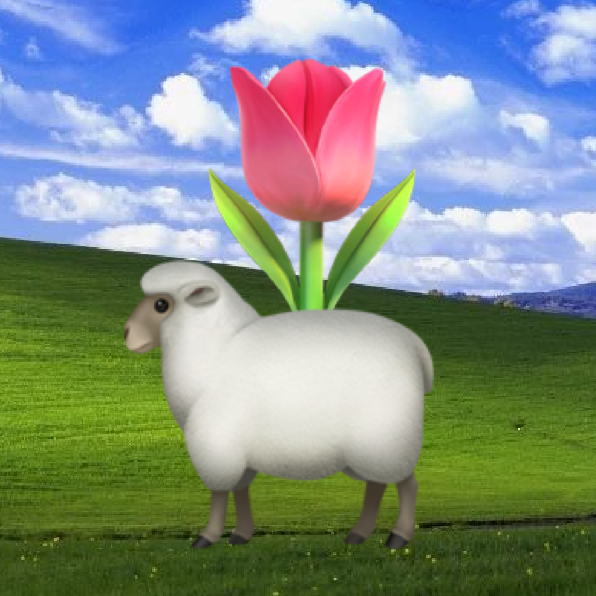 看有人在天上飞 