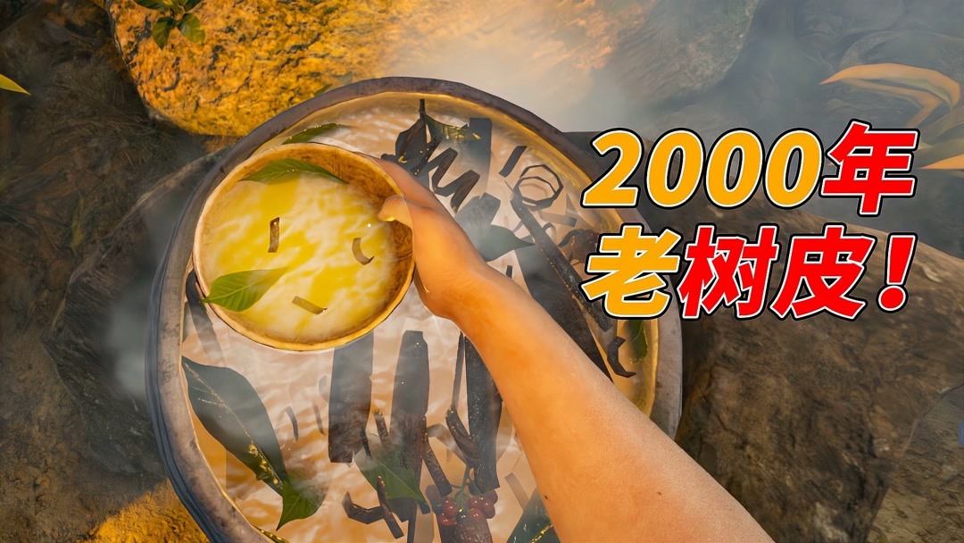 绿色地狱05:用2000年的树皮煮了锅汤,这反应太上头了!