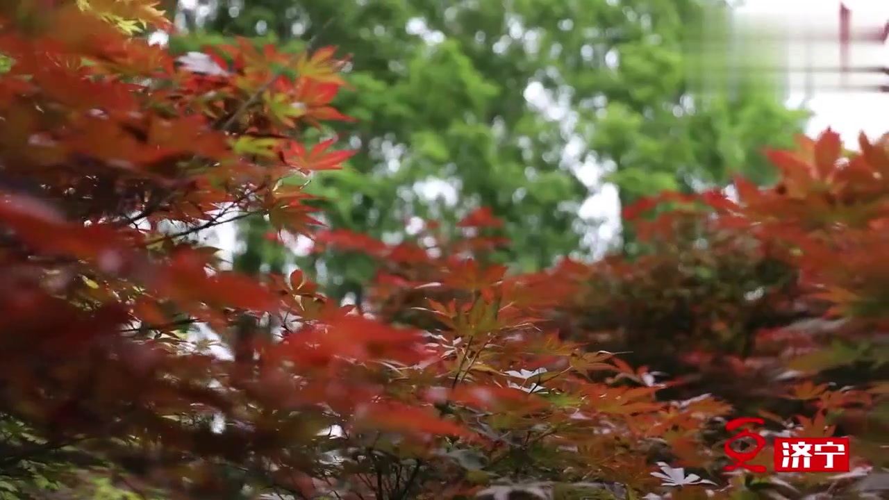 ...市民出入公共场所,应扫描“场所码”,出示“健康码”与“行程码”,...