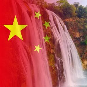 我的未来我做主0 
