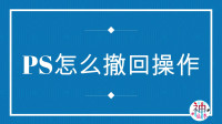 PS怎么撤回操作!