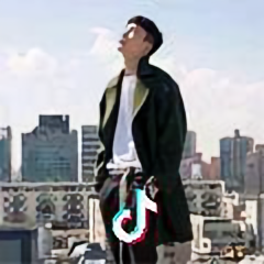 非凡小鱼MT 