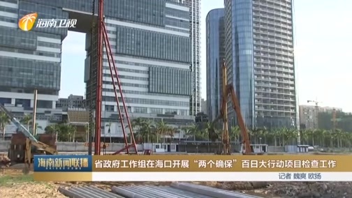 [海南新闻联播]省政府工作组在海口开展“两个确保”百日大行动项目...