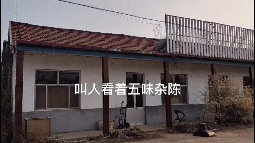 龙凤苑商务服务有限公司的今天…