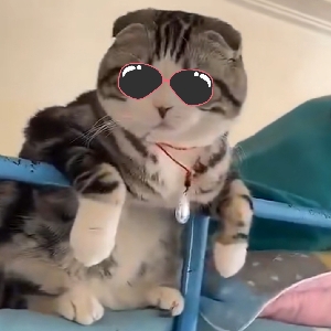 萌萌哒mhm 