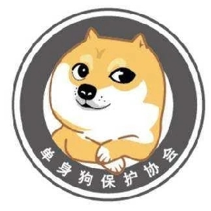 小汪黄Dog 