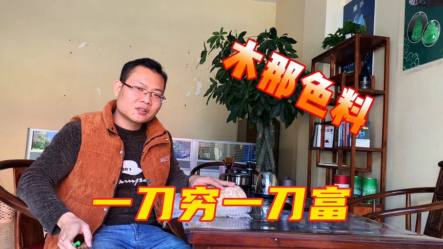 一刀切开木那杨梅皮翡翠原石,一条绿色蟒带缠绕,能否一夜暴富?