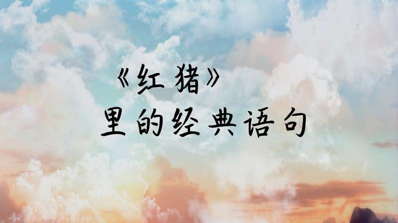 「推荐」宫崎骏经典动画《红猪》里的经典句子