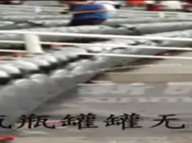闽江师范高等专科学校文明校园宣传片之文明观众