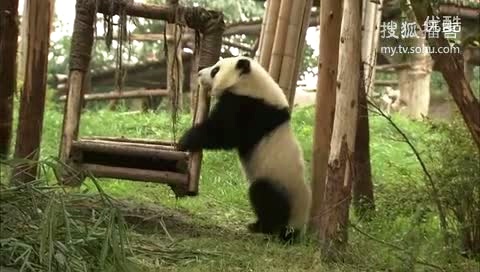 功夫熊猫2制作特辑:Animating Pandas !