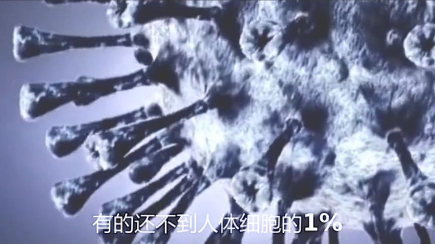 新冠病毒进入体内和人体对抗的全过程