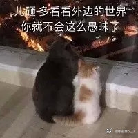 故人故景不如初 