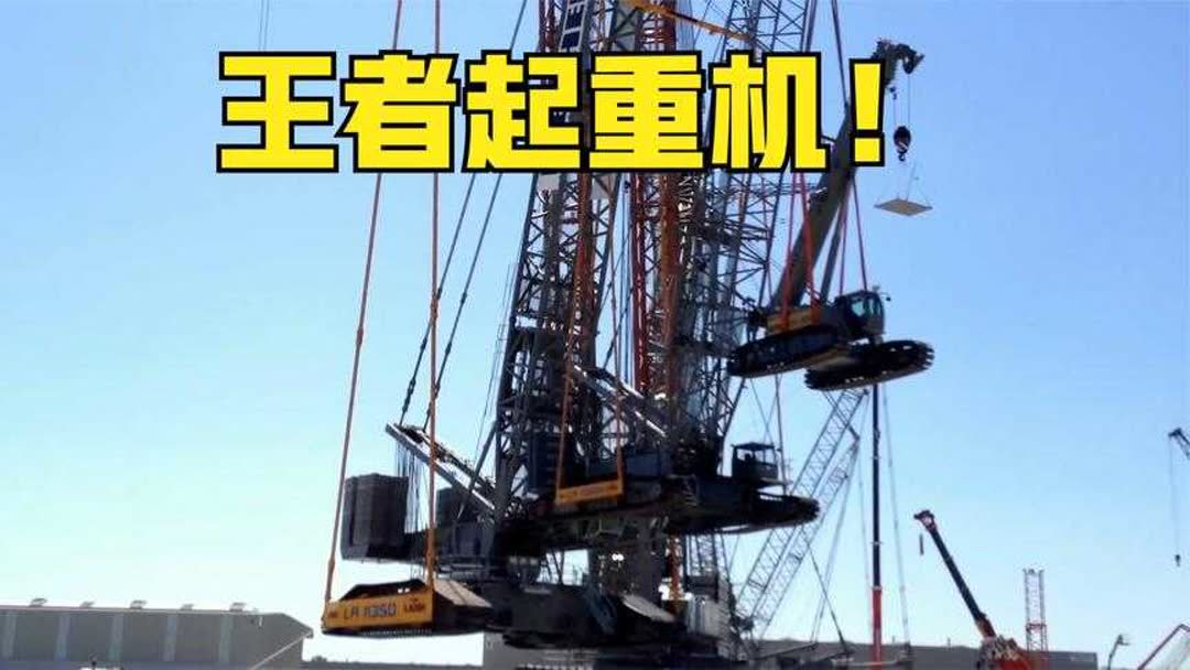 谁才是真正的王者起重机?