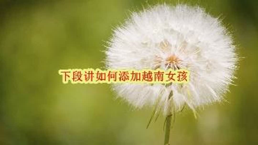 分享:如何安装越南聊天软件zalo!