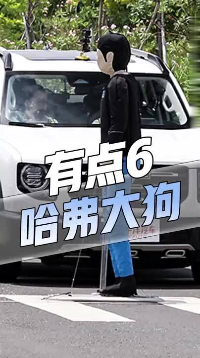 全部通过!十来万的哈弗大狗这表现相当可以!#哈弗大狗 #汽车测试 #...