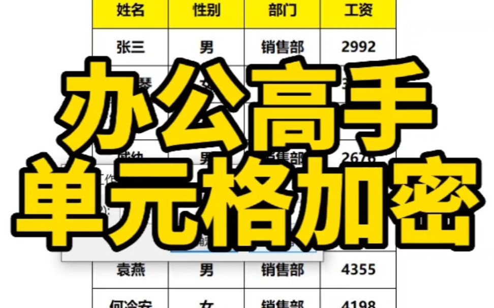 Excel办公高手单元格加密