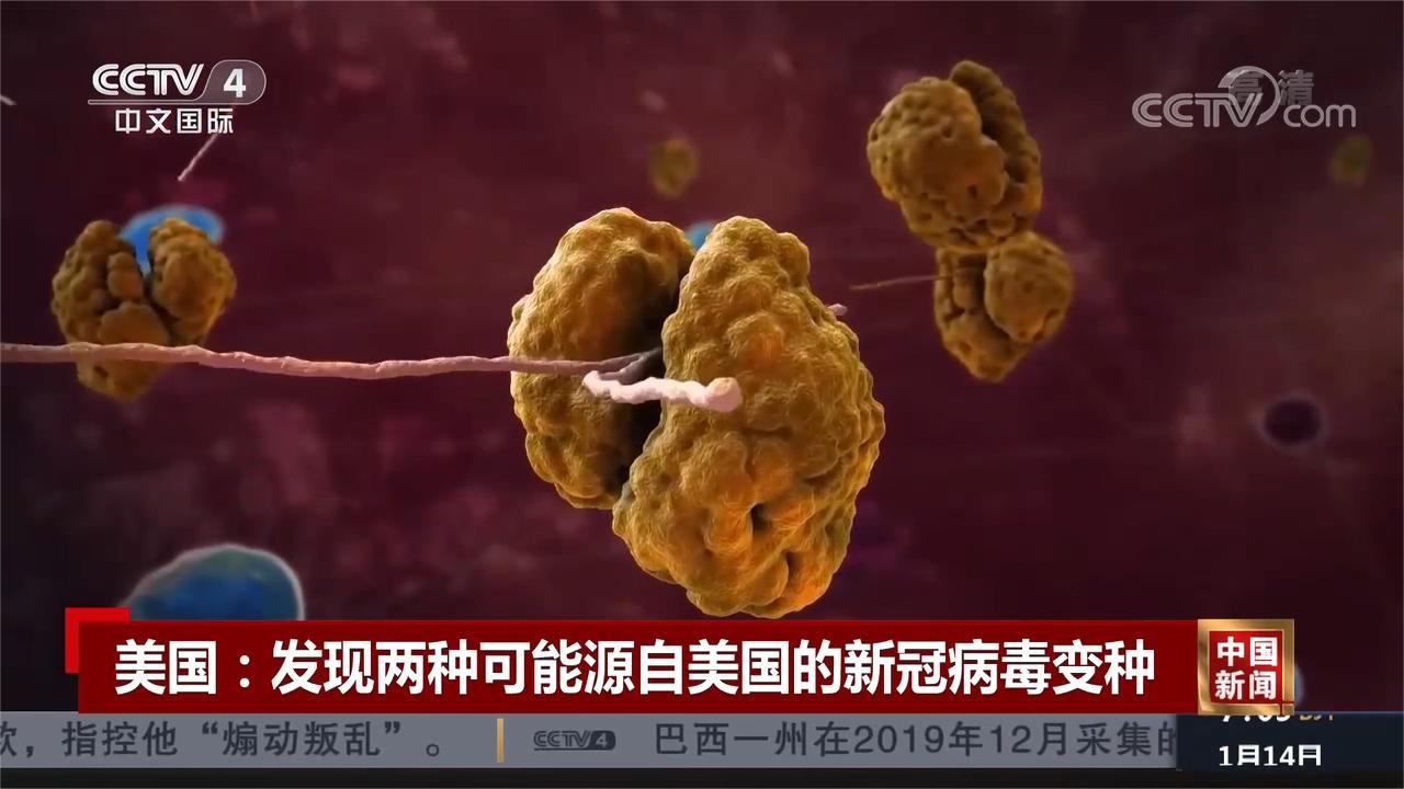 美国:发现两种可能源自美国的新冠病毒变种
