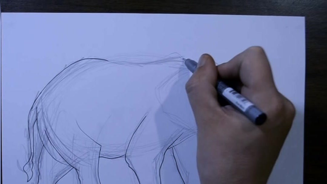 如何用简单笔画画出一个大象轮廓