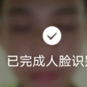英俊龙猫c 