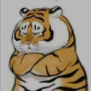 进取快乐的小马 