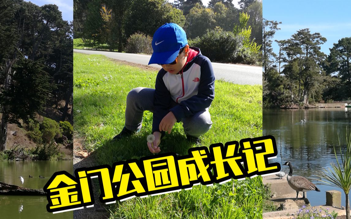 金门公园成长记:森林公园伴成长,和小动物做朋友
