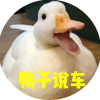 鸭子说车呀 