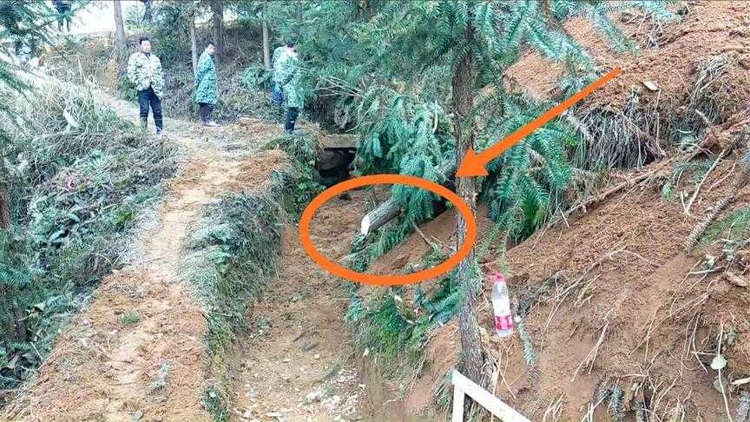 包工头粗心大意,砍伐村民两棵树,树主要求赔偿500元,谁的错