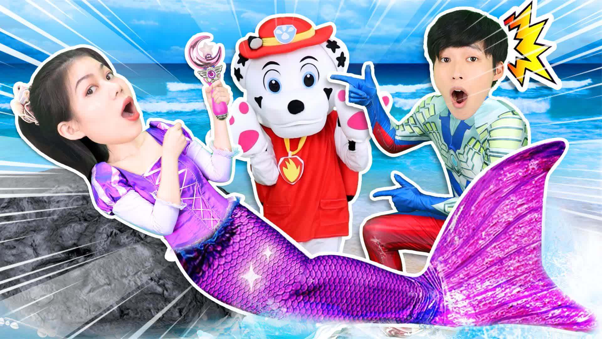 益智:汪汪队毛毛跳幼儿舞蹈?静静演绎海草舞儿歌,汪汪队玩具