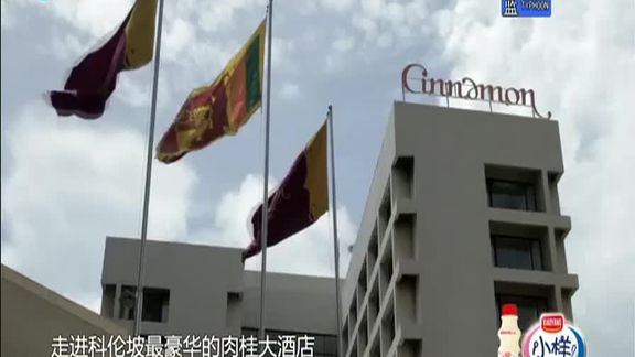 中国美女在斯里兰卡学做特色名菜,别看品相一般,味道却很特别!