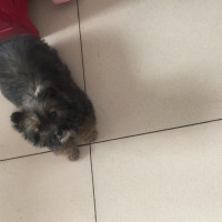 影楼相册设计制作 