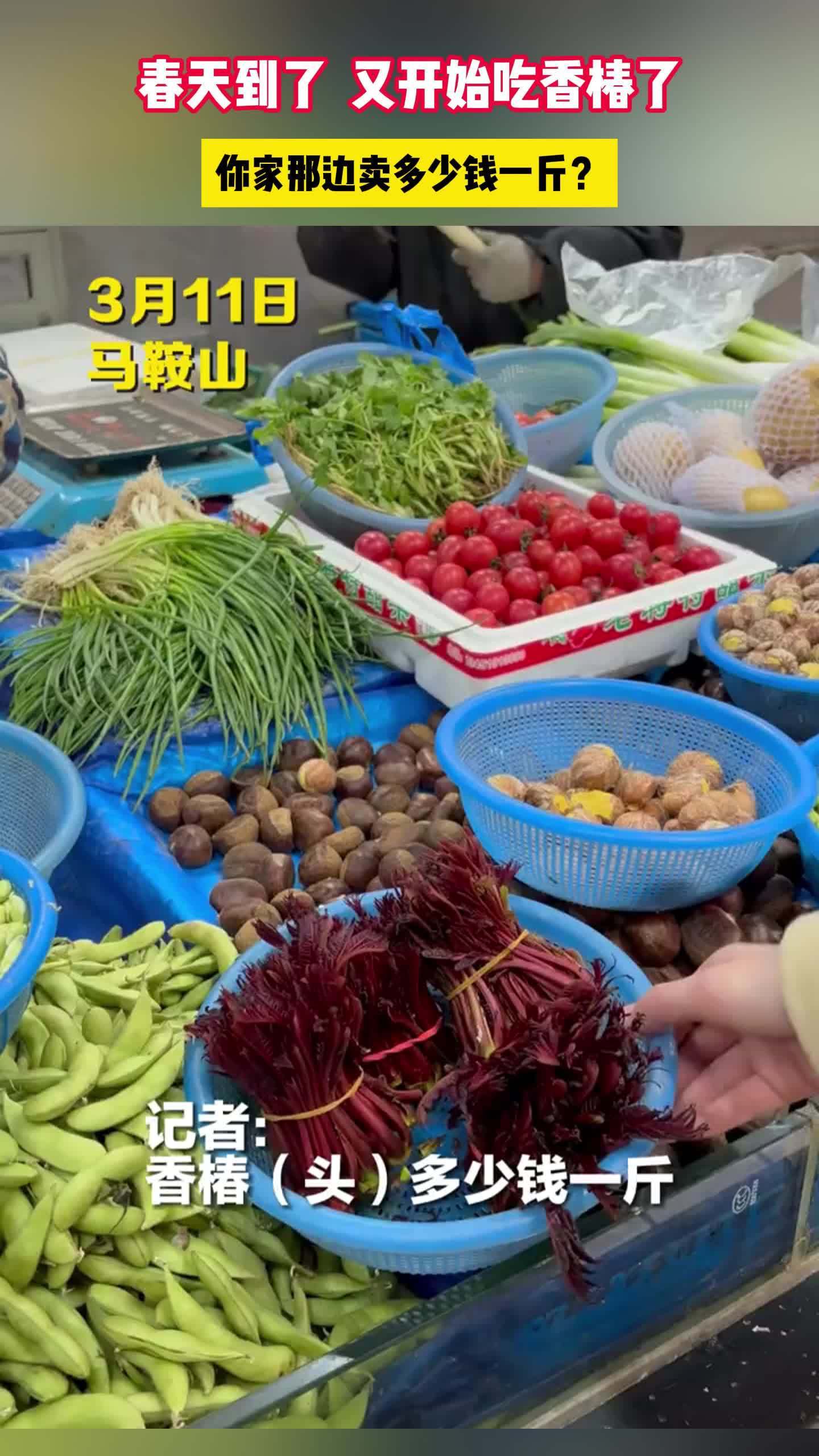 春天到了!又开始吃香椿了,你家那边卖多少钱一斤?