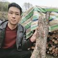 宜城车部落龚黎明 